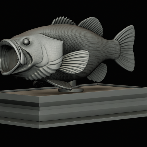 🐠 fish Largemouth Bass / Micropterus salmoides open mouth with storage ...