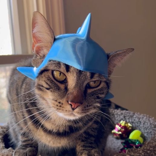 Shark Cat Hat🦈🦈・ 3D File for 3D printing・Cults