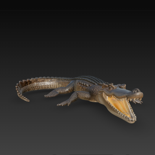 🐊 Crocodile・ STL File for 3D printing・Cults