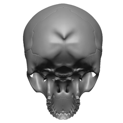 💀 Skull box・ 3D File for 3D printing・Cults