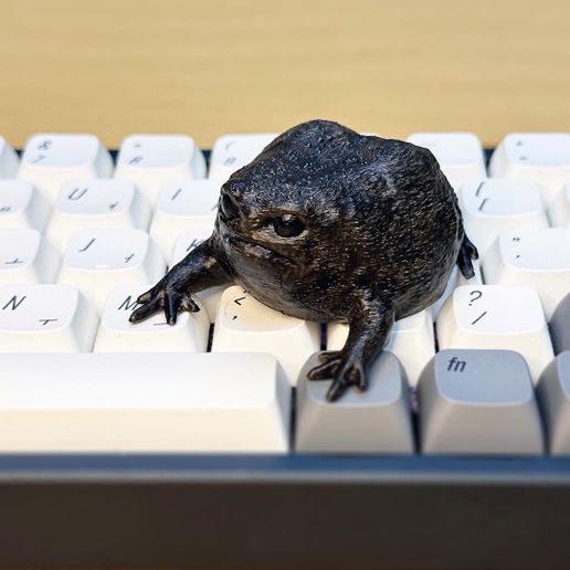 🌧️ Black Rain Frog・ STL File for 3D printing・Cults