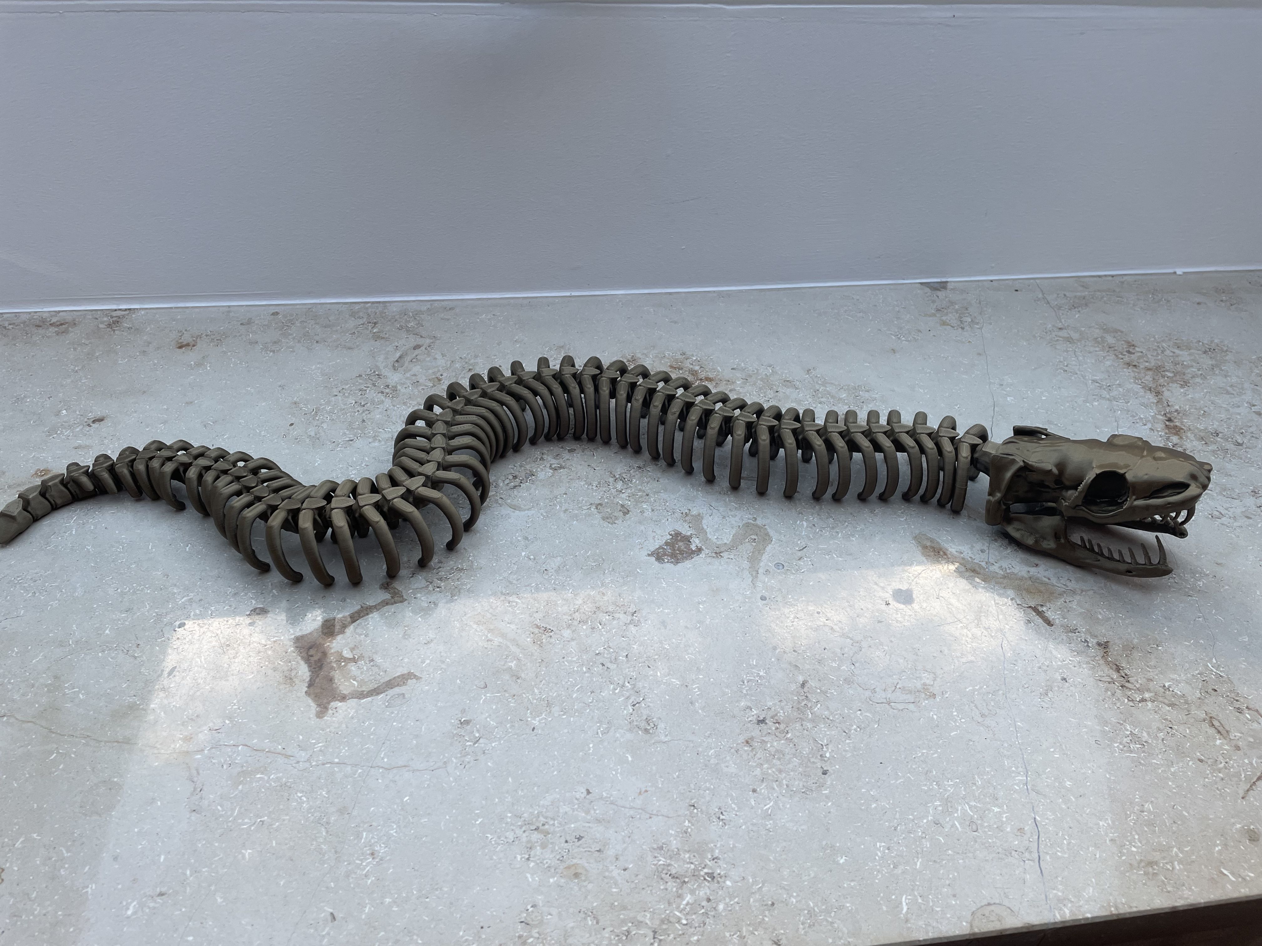 3D printing ARTICULATED SKELETON SNAKE • made with Modified Eryone ER ...