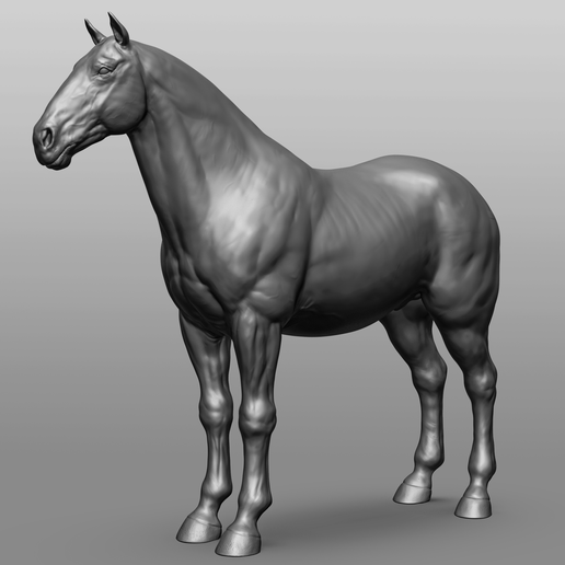🐎 Horse Breeds Collection・ 3D File for ・Cults
