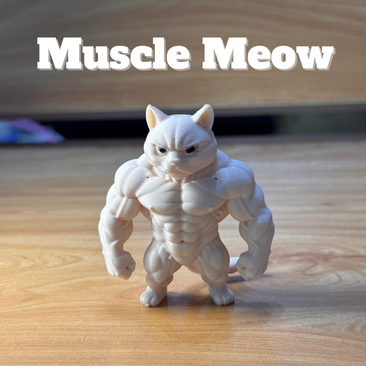 🗿 Muscle Meow・ STL File for 3D printing・Cults