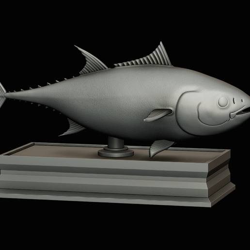 🐠 fish tuna bluefin / Thunnus thynnus with storage space / for 3d ...