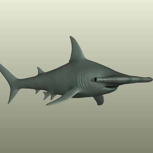 🦈 Hammerhead Shark 3D Model・ STL File for 3D printing・Cults