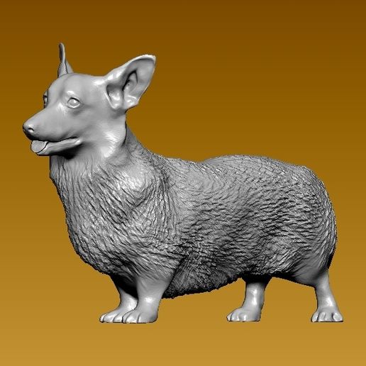 STL file Corgi Dog - terrier model - 3D print 🐕 ・Template to download ...