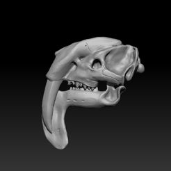Fangs best 3D printer files・134 models to download・Cults
