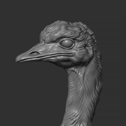 👤 Emu bust・ STL File for ・Cults