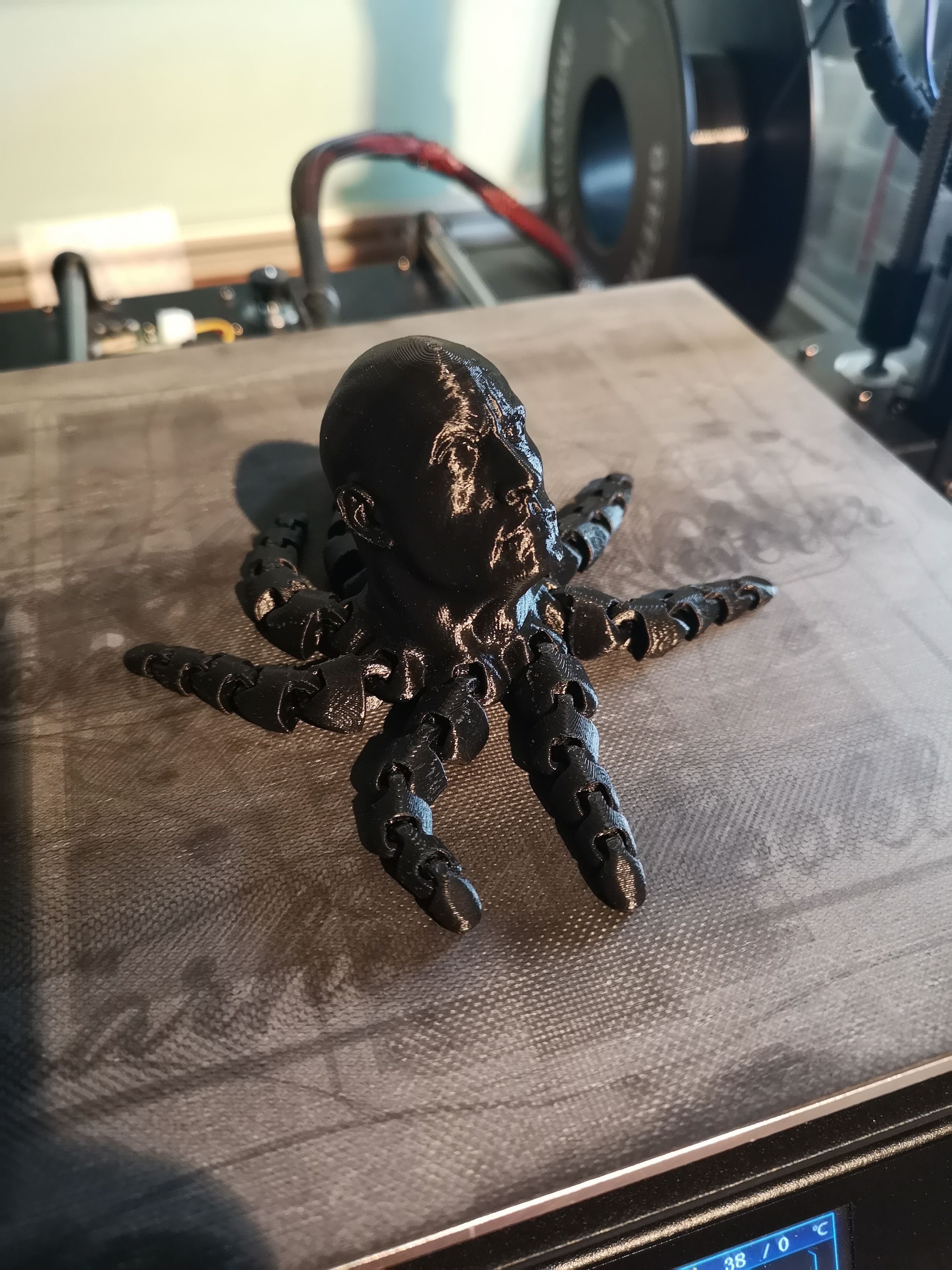 3D printed The Rocktopus • made with Sidewinder x1 V4 ・ Cults
