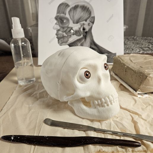 👾 Skinnymals - Neanderthal Face Reconstruction Kit・Archivo STL para ...