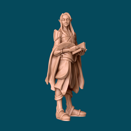 🧝 Wyerit, a drow tactician - dnd miniature [presupported]・ STL File for ...