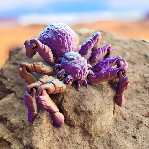 Magnetic Spider 🧲🧲🧲・ 3D File for 3D printing・Cults