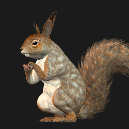 👽 Squirrel A3・Free 3D File for 3D printing・Cults