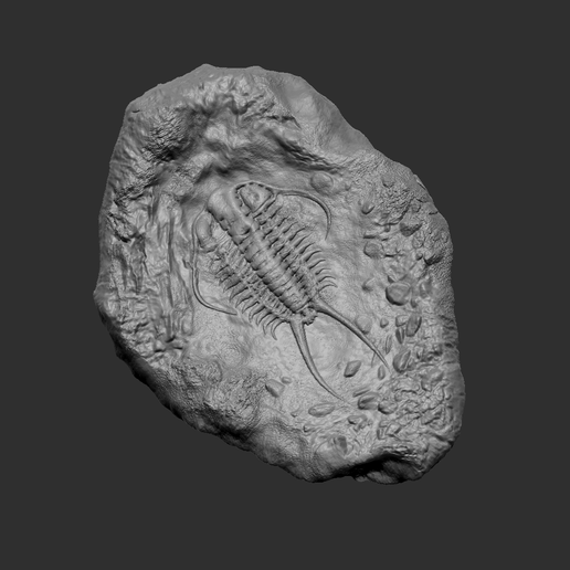 🗝️ Trilobite Mineral Fossile - Impressão realista e porta-chaves ...