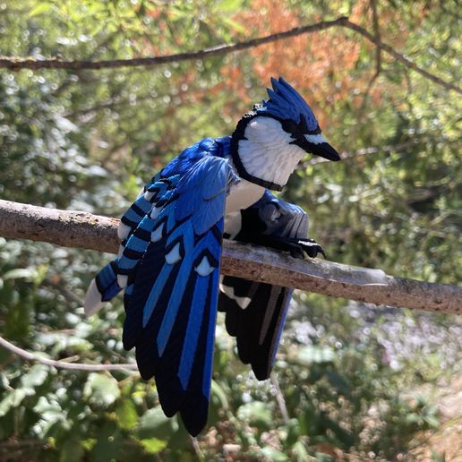 🐦 Blue Jay・ STL File for 3D printing・Cults