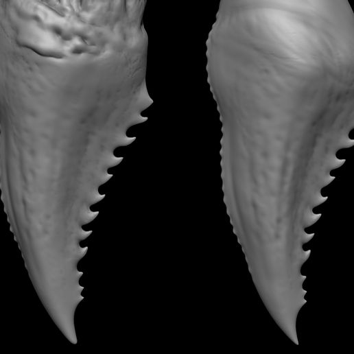 🎬 3D PRINTABLE DAY SHIFT MOVIE EXTRACTED VAMPIRE FANGS・ STL File for ・Cults