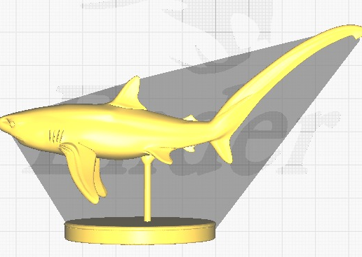 🦈 Modèle 3D du requin renard avec base - Elégance et puissance de l ...
