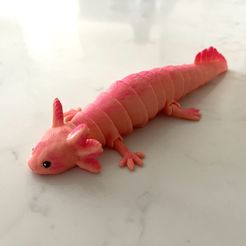 3D printed Articulated axolotl • made with Prusa i3 Mk3s+・Cults