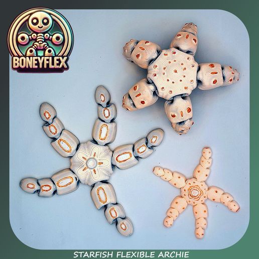 👌 3D StarFish Flexible Archie・ STL File for 3D printing・Cults