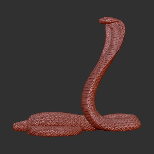 STL file Cobra snake 3d relief .stl file 🐍 ・3D print model to download ...