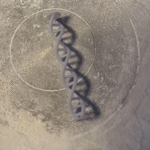 🧬 DNA Strand・Free STL File for ・Cults