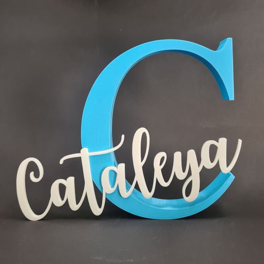 STL file Name Cataleya / Letter / Letter A 🗿 ・3D printer design to ...