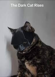🐱 Official BATCAT | BATMAN CAT MASK bat cat・ STL File for 3D printing・Cults
