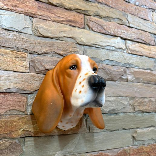 🐕 Basset hound head wall mount・ STL File for 3D printing・Cults