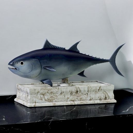 🐠 fish tuna bluefin / Thunnus thynnus with storage space / for 3d ...