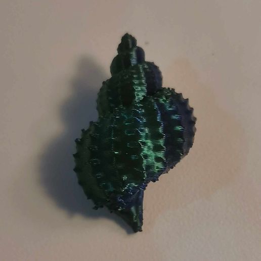 🐚 Spiral Shell・Free STL File for 3D printing・Cults