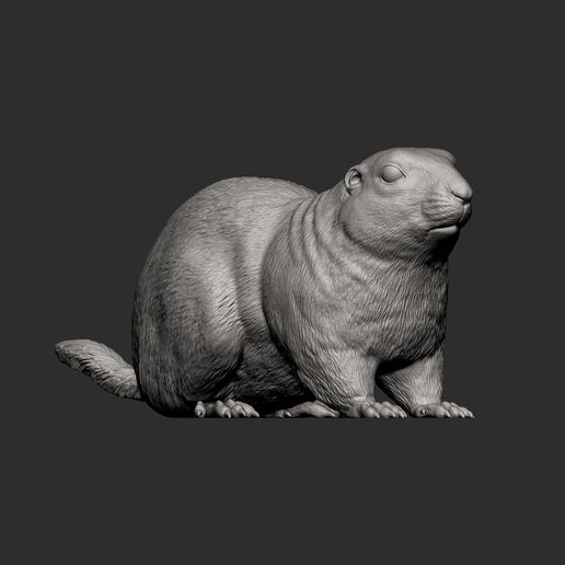 🐕 Prairie dog 3D print model・ STL File for 3D printing・Cults