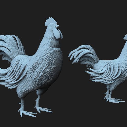 🐓 rooster・ STL File for 3D printing・Cults