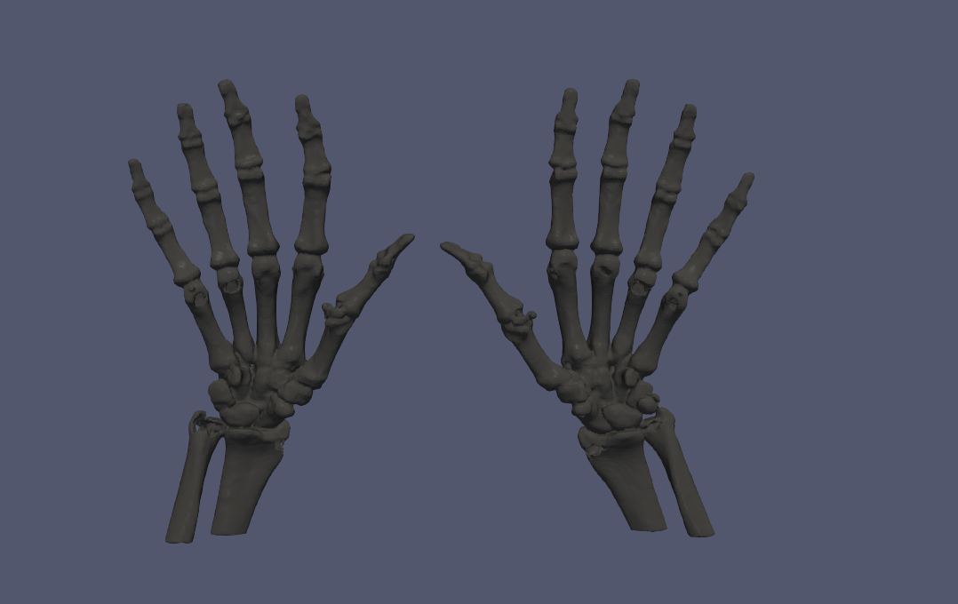 STL file 3d model of hand bones・3D print object to download・Cults