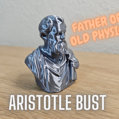 3MF file Albert Einstein Low Poly Bust 👤 ・Design to download and 3D ...