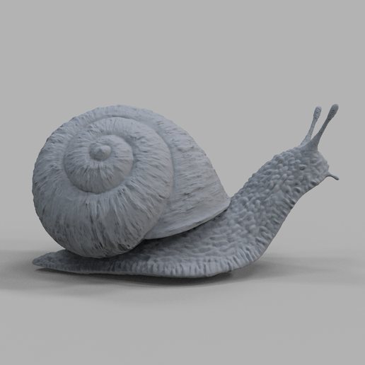 🐌 Snail・Free OBJ File for 3D printing・Cults