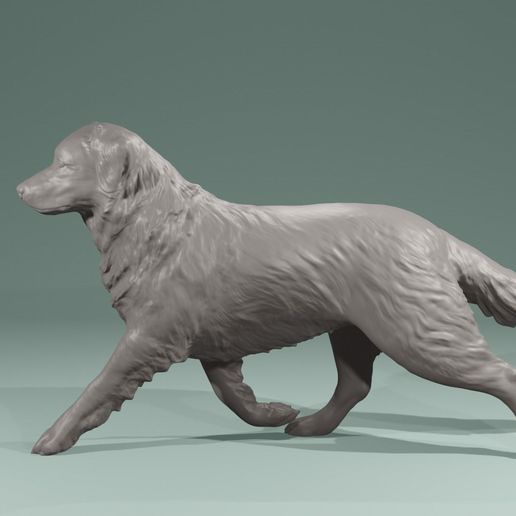 🐕 Realistic Australian Shepherd dog running 3D print model・ STL File ...