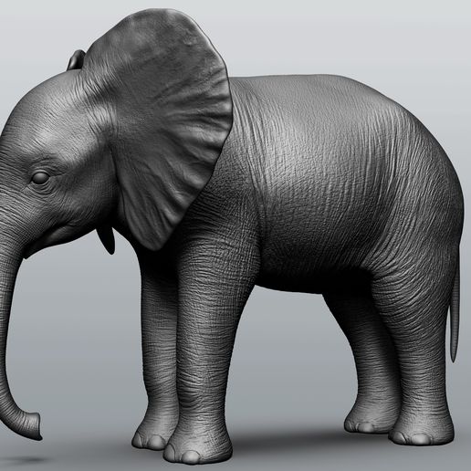 👶 Wild Baby animal collection - 5 animals・ 3D File for 3D printing・Cults