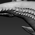 STL file Mosasaurus 🚰 (OBJ)・Model to download and 3D print・Cults