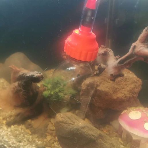 🌳 Aquarium Siphon Head・Free 3D File for ・Cults