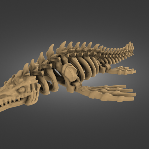 🦖 MOSASAURUS_SKELETON_PRINT_IN_PLACE_SKULL・ STL File for 3D printing・Cults