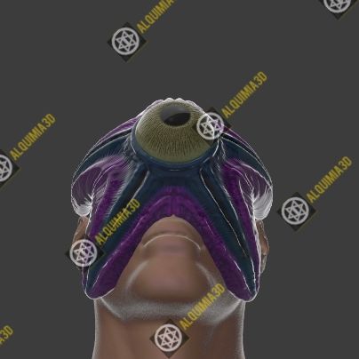 🦹 Starro (+starro mask)・ OBJ File for ・Cults