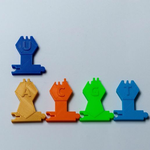 🏗️ DNA/RNA Building Toy Set with Improved Joints・Free STL File for ・Cults