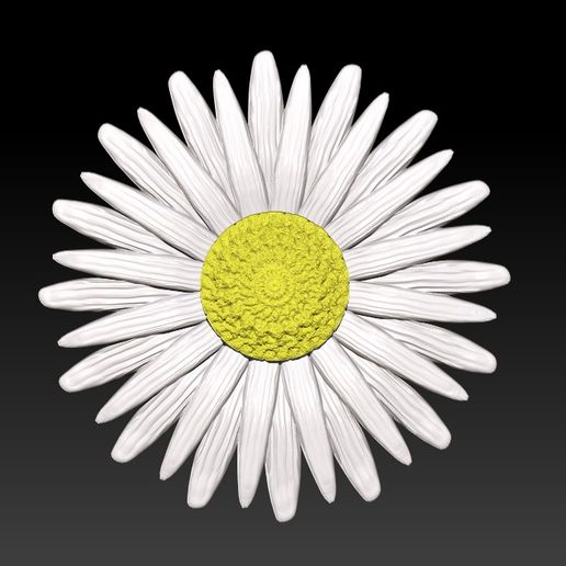 💐 DAISY FLOWER 3D PRINTABLE・Free STL File for 3D printing・Cults