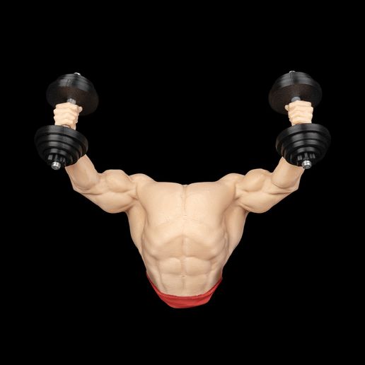 STL file Ruff and Buff Dog Collar 🐕 (3MF)・Model to download and 3D ...