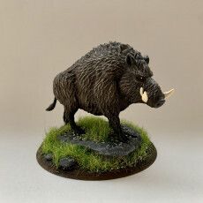 🐗 Wild boar・ STL File for 3D printing・Cults