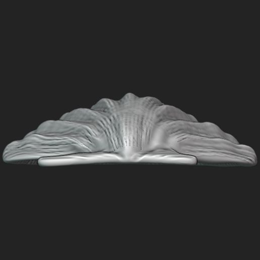 🐾 Giant Lion’s Paw Shell - 3D Printable Seashell Model・ 3D File for 3D ...