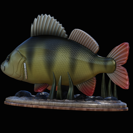 STL file fish perch / Perca fluviatilis statue underwater detailed ...