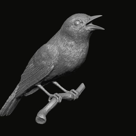 STL file Bird Statue 🐦 (OBJ)・3D print object to download・Cults