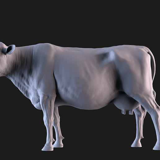 🐄 Cow and Bull・ STL File for 3D printing・Cults
